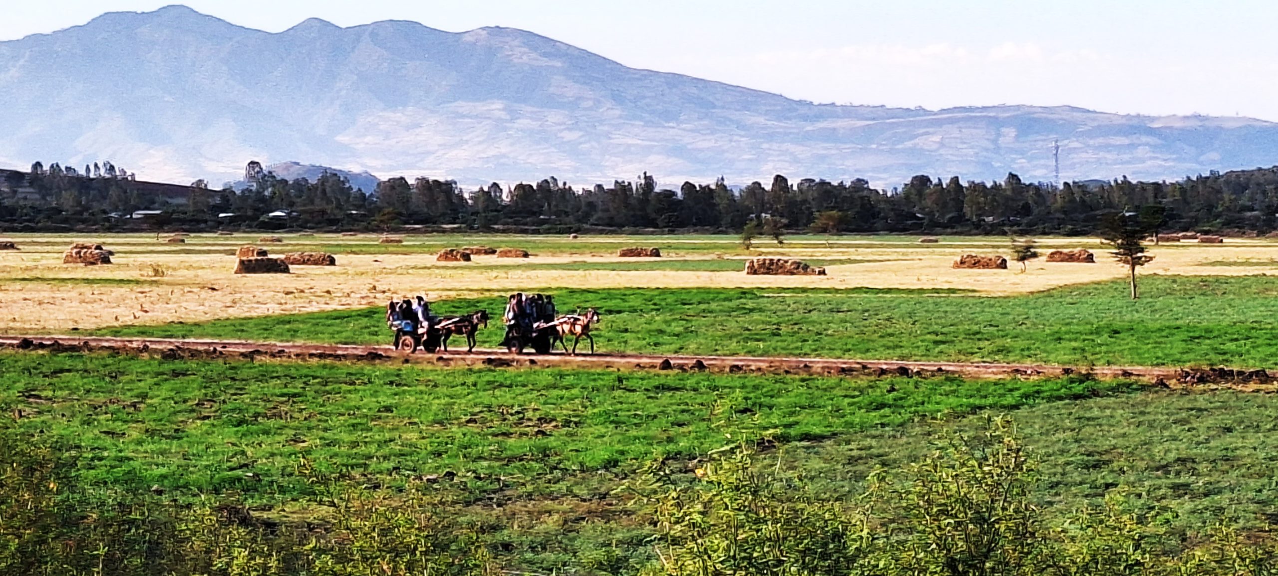 waste and want | Grid Reference