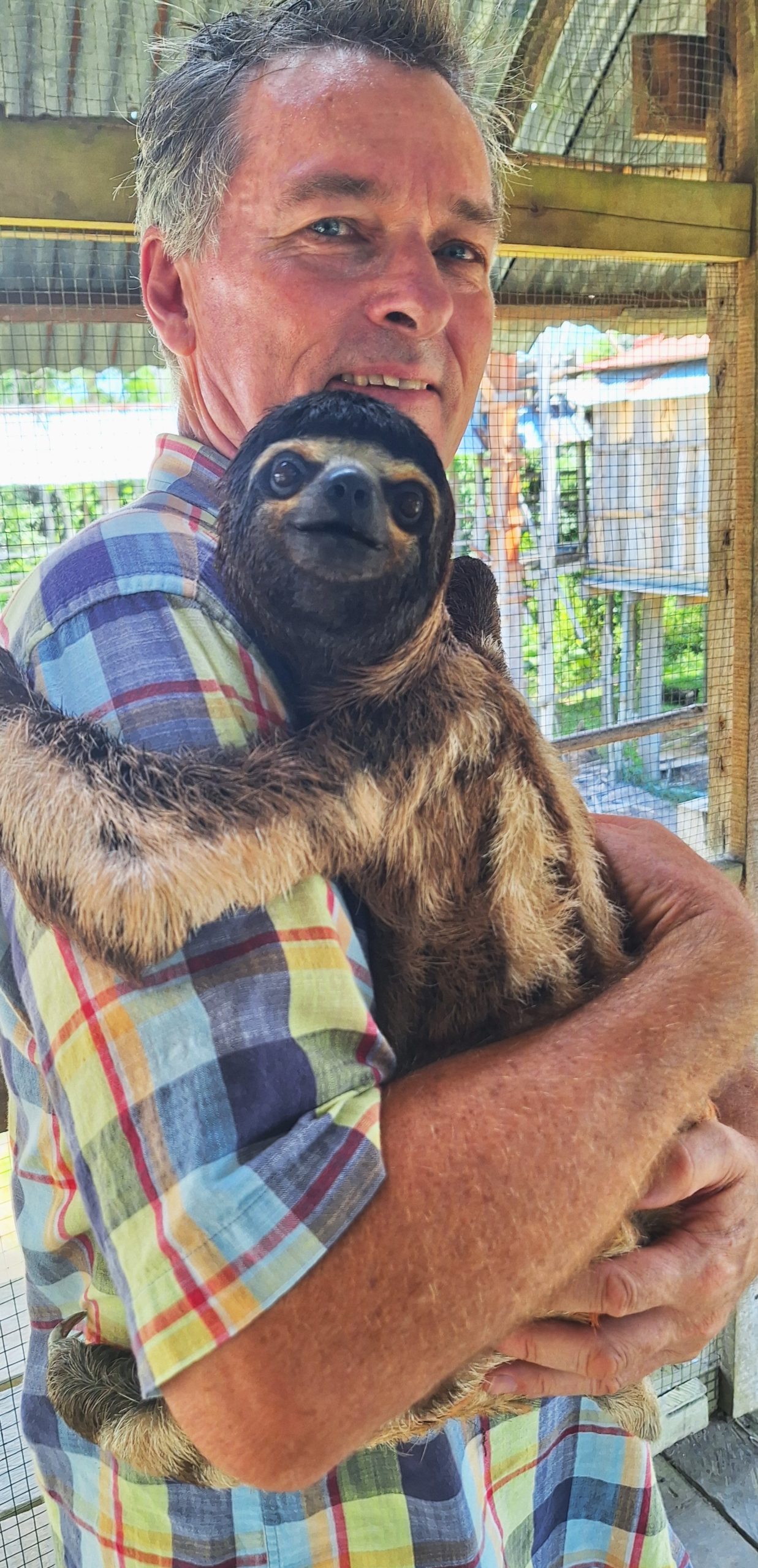 soft and green | Grid Reference